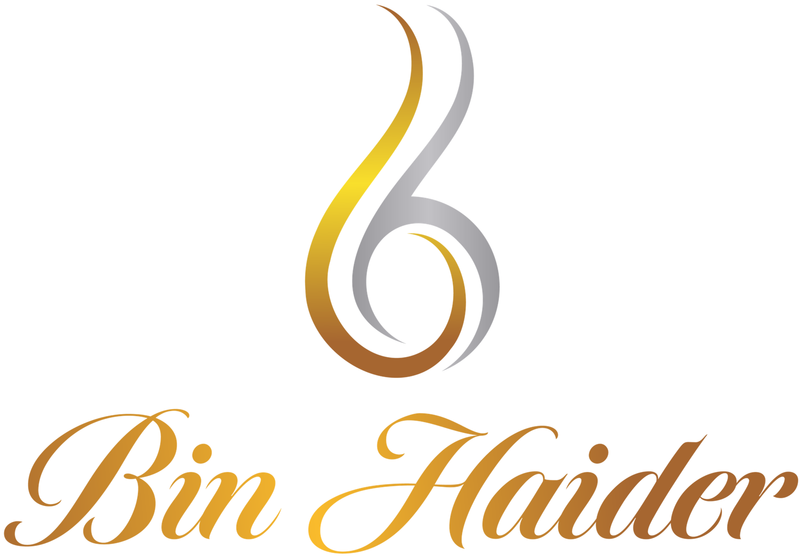 Home - Bin Haider